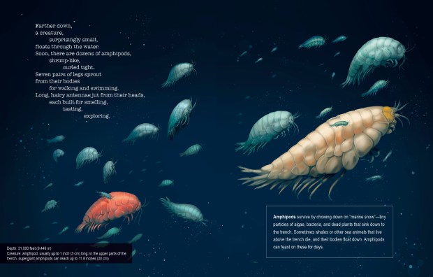 Perfect Picture Book Friday – Deep, Deep, Down: The Secret Underwater ...