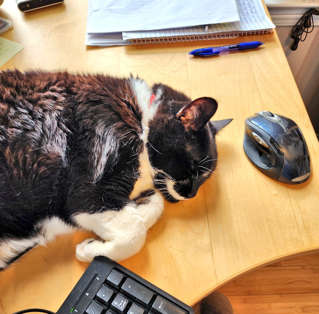 Tuesday Debut – Presenting Stephanie Gibeault PLUS A Giveaway ...