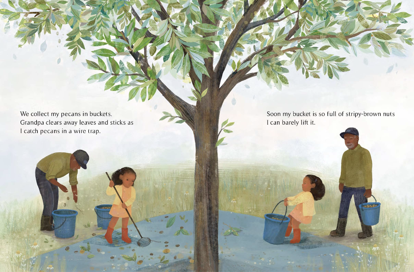 Perfect Picture Book Friday – My Grandpa, My Tree, And Me PLUS A ...