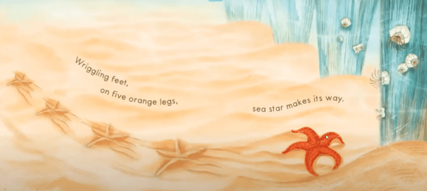 Perfect Picture Book Friday – Sandy Feet! Whose Feet?: Footprints at ...