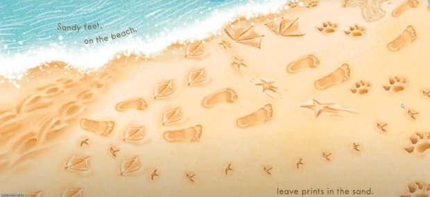 Perfect Picture Book Friday – Sandy Feet! Whose Feet?: Footprints at ...