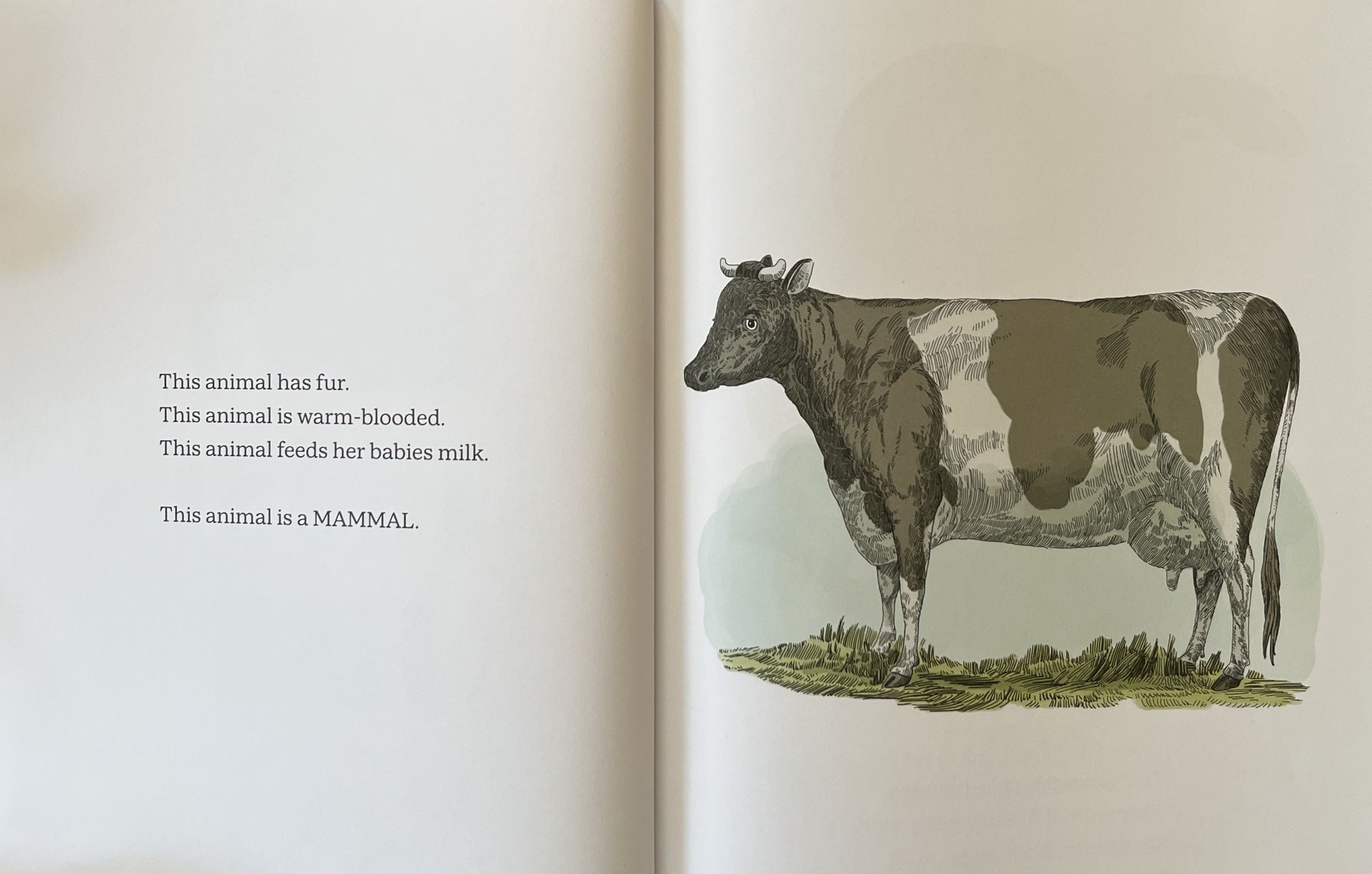 Perfect Picture Book Friday – Don’t Trust Fish – Susanna Leonard Hill