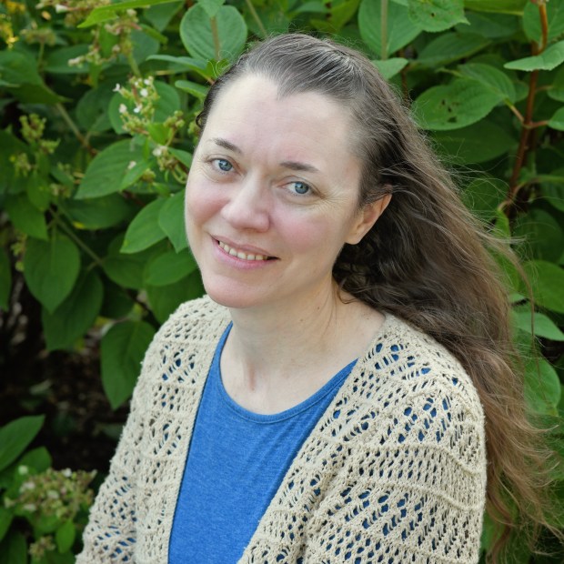 Tuesday Debut – Presenting Megan Hamilton! PLUS A Giveaway! – Susanna ...